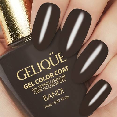 Bandi Gelique Gel Color ( Noble Brown)