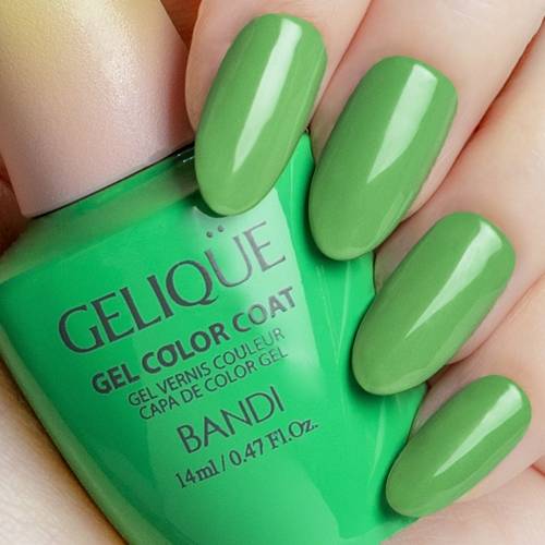Bandi Gelique Gel Color (Candy Green)